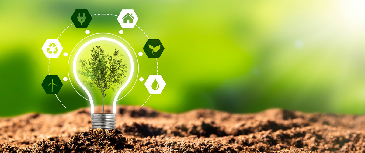 Développement durable - Université de Montréal